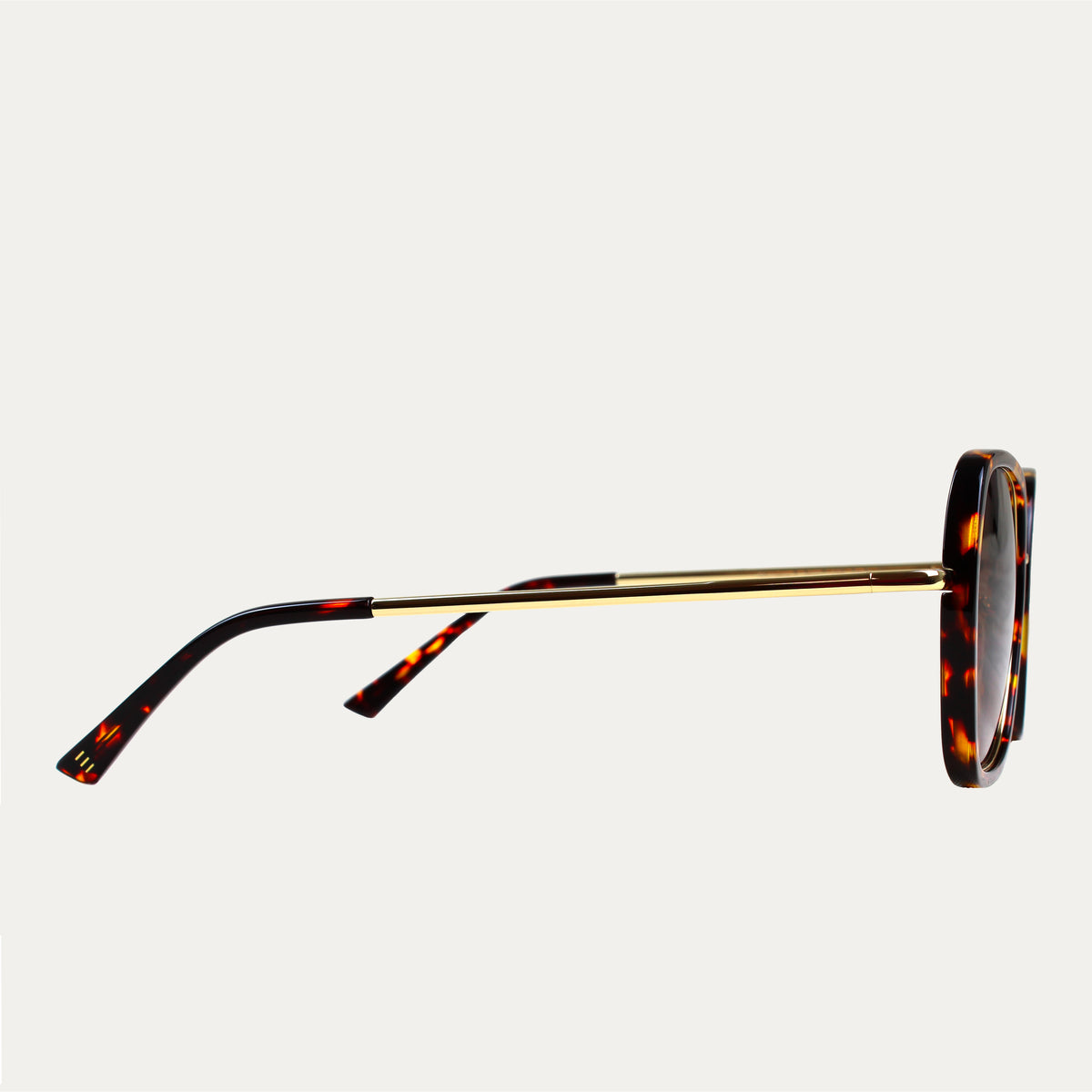 Michaela.S Écaille - Solaire – Le Petit Lunetier